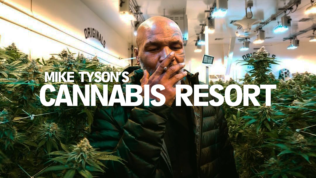 Mike Tyson eröffnet "Cannabis Resort" in Kalifornien